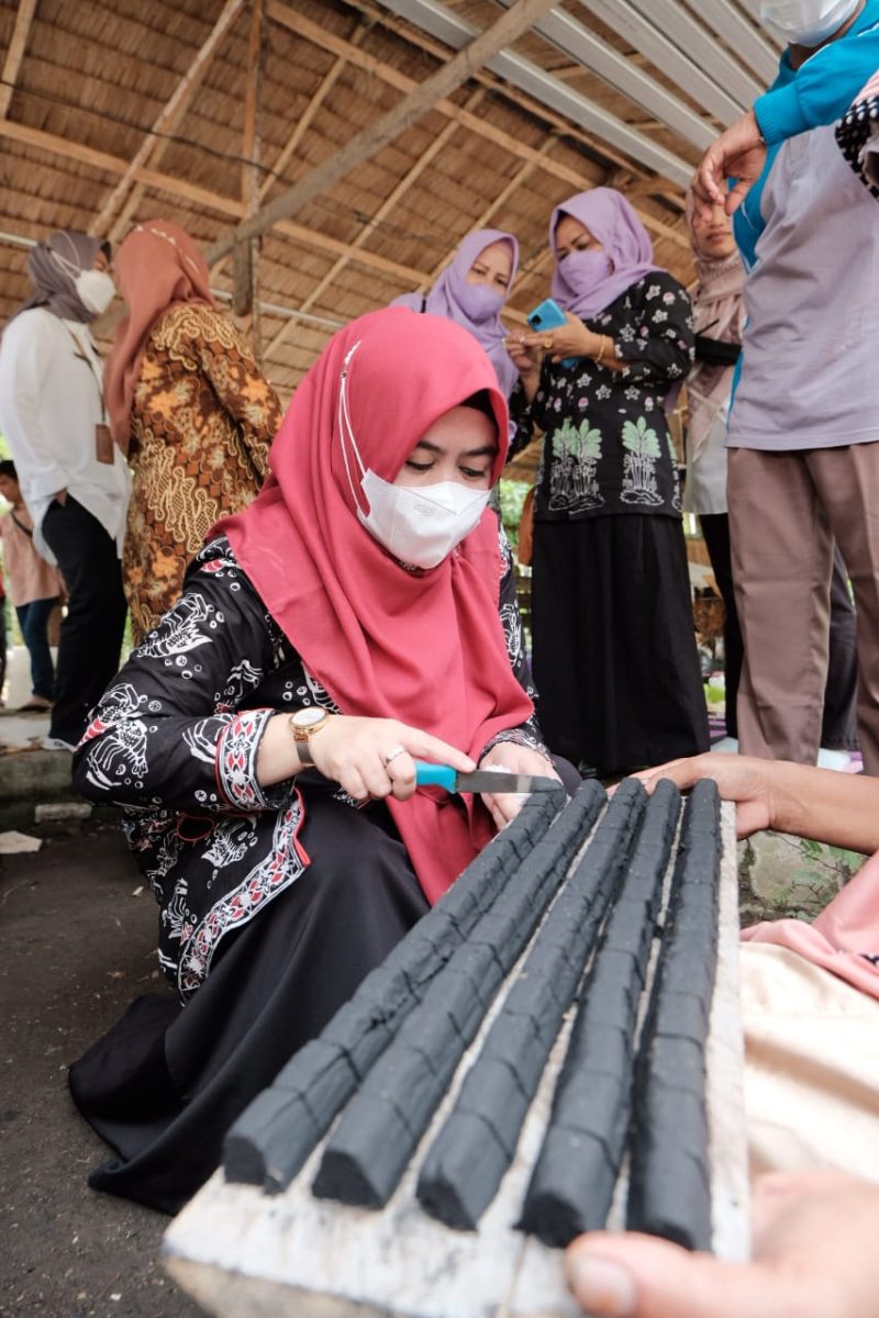 Ketua Dekranasda Tanjab Barat Beri Apresiasi Besar Kepada Pengrajin ...